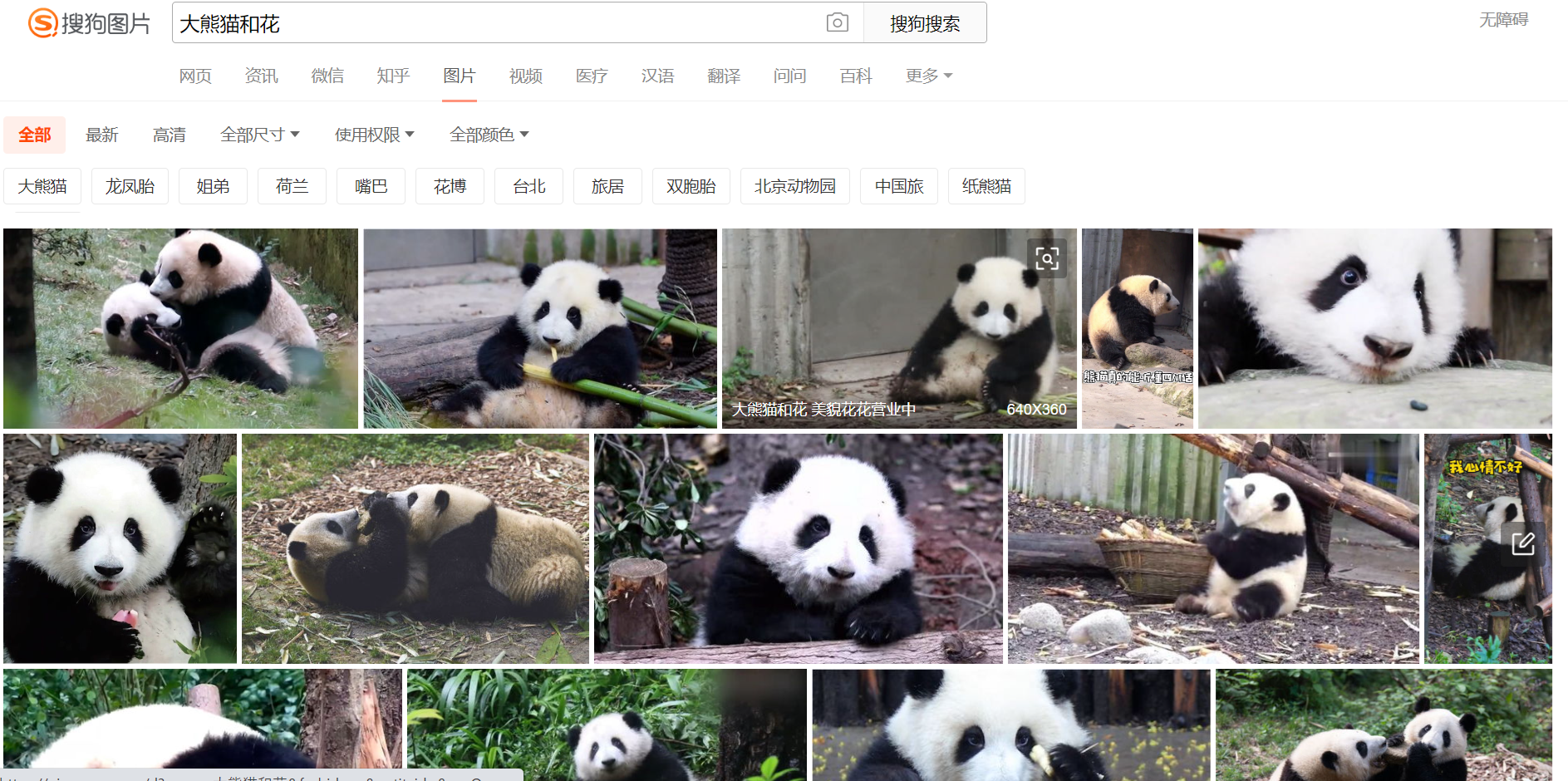 【初心者OK】中国シェア2位検索サイト搜狗（sogou）の使い方 - Eicoacademy
